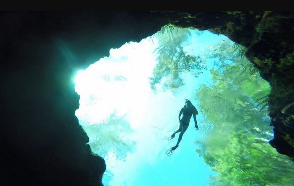 a visitor snorkeling in the state park