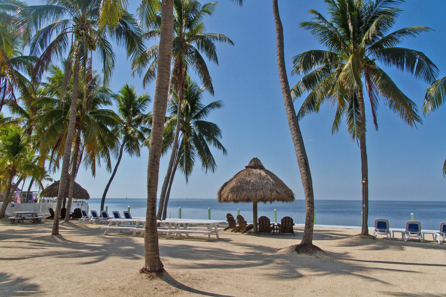 an image of the beach in Islamorada