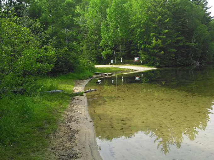 avery lake state forest campground 2