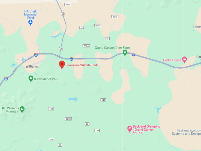 Bearizona Park 10 Map