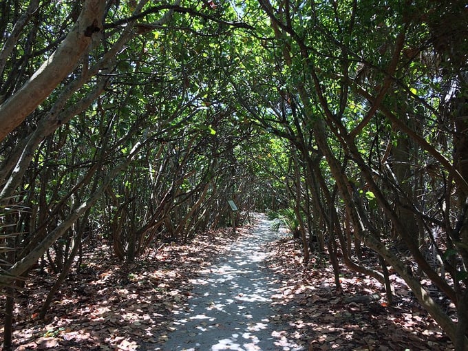 blowing rocks preserve 3