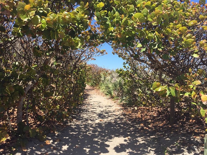 blowing rocks preserve 4