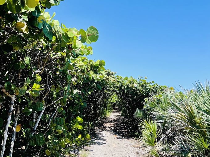 blowing rocks preserve 8