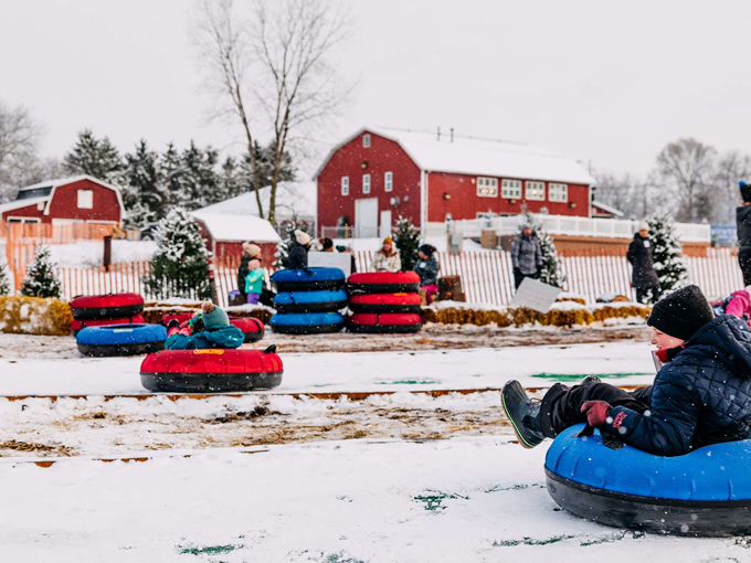 Bowers School Farm 2