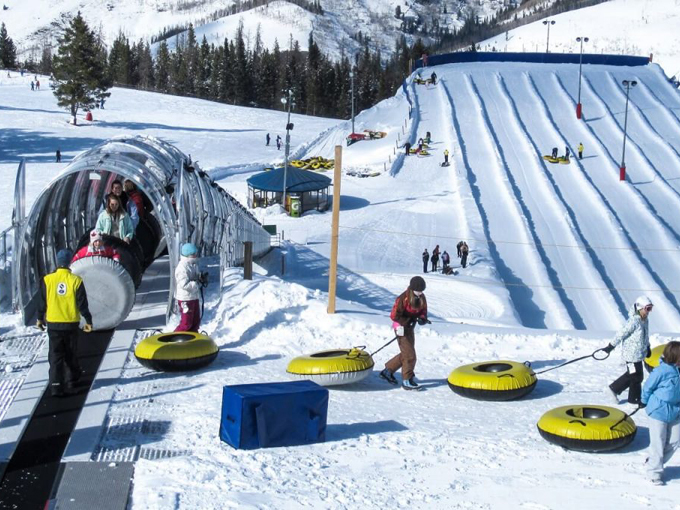 Bowers School Farm 4