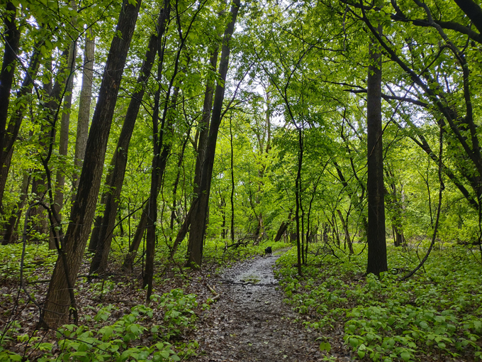 Crosby Farm Regional Park 1