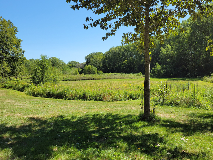 Crosby Farm Regional Park 2