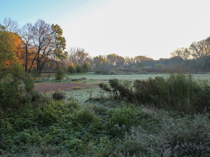 Crosby Farm Regional Park 5