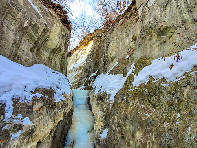 Crosby Farm Regional Park 8