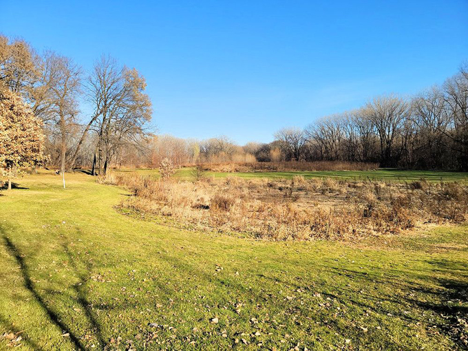 Crosby Farm Regional Park 9