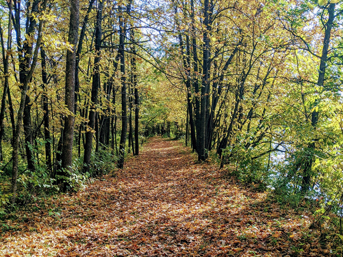 crow wing state park 2