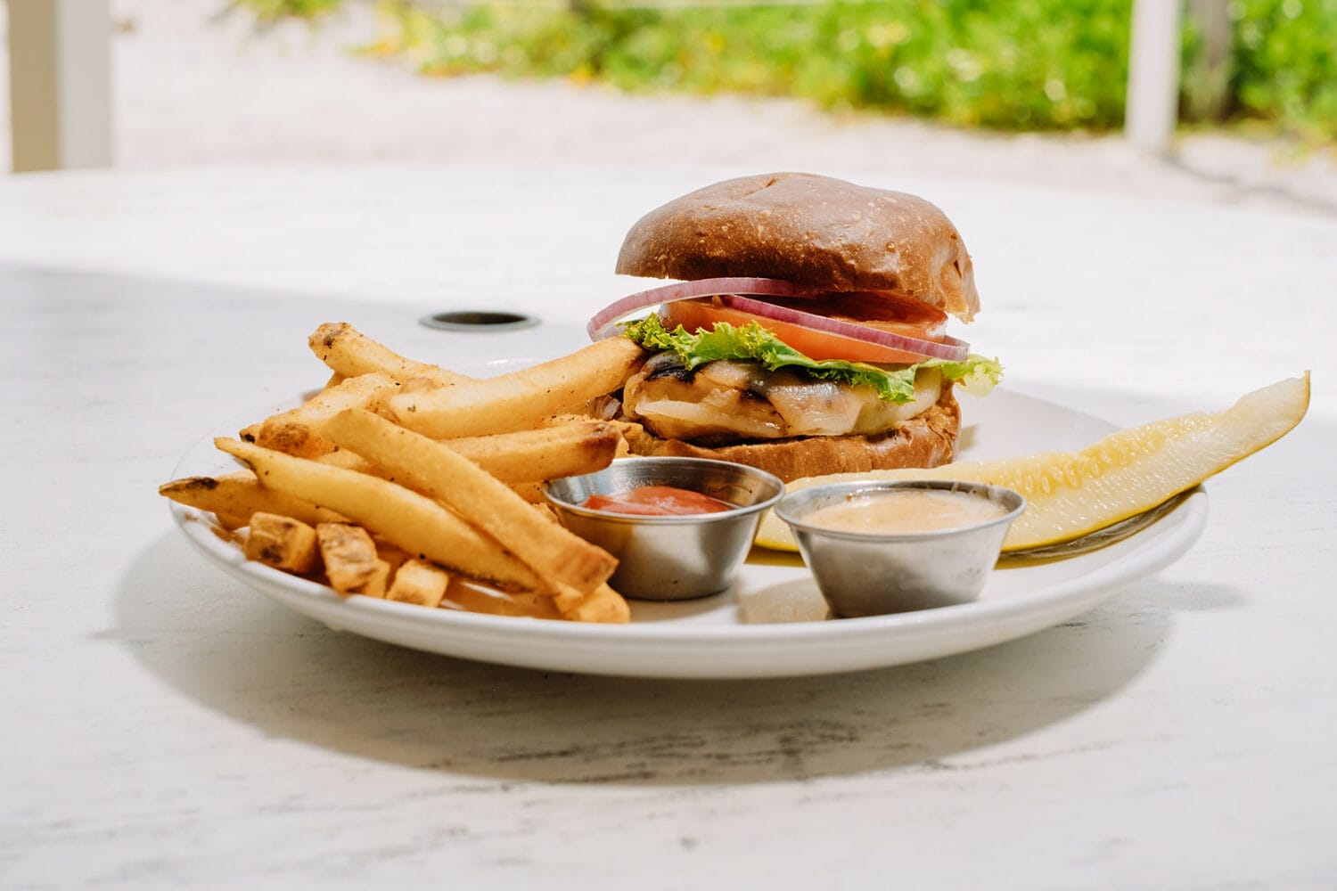 deliciously made burger and fries in a plate with sauce on the side