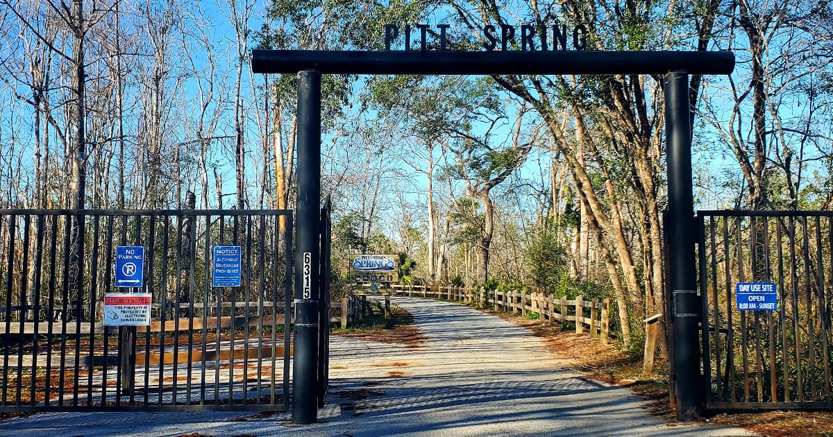 Few People Know There's A Swimming Hole Hidden Along The Econfina Creek ...