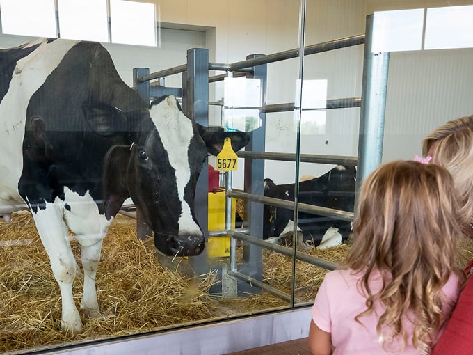 Farm Wisconsin Discovery Center 5