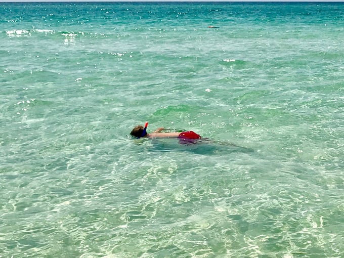 Grayton Beach State Park 9