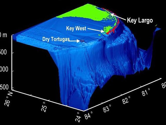 Great Florida Reef 2