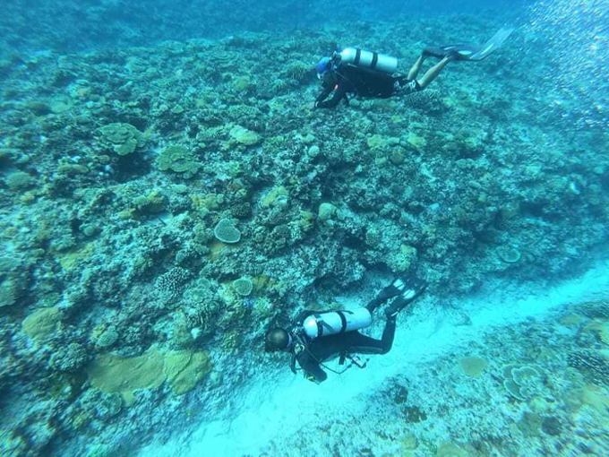 Great Florida Reef 8