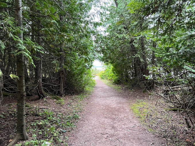Headlands International Dark Sky Park 3
