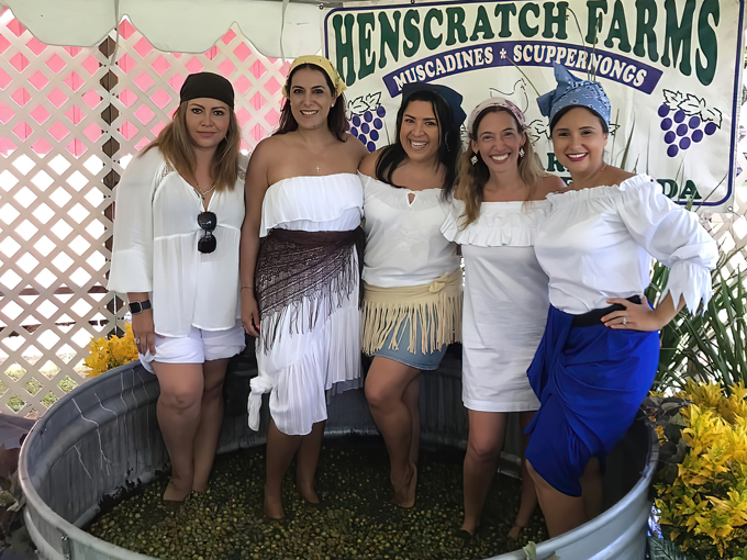 henscratch farms vineyard winery 8