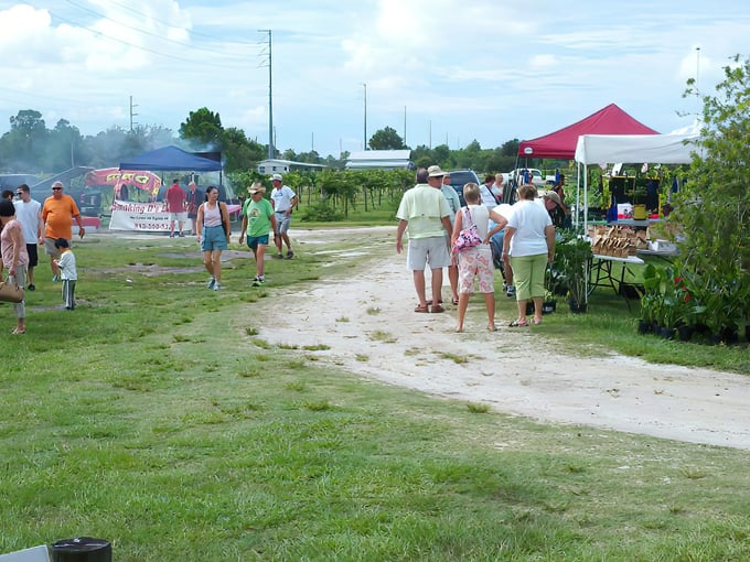 Henscratch Farms Vineyard & Winery 9