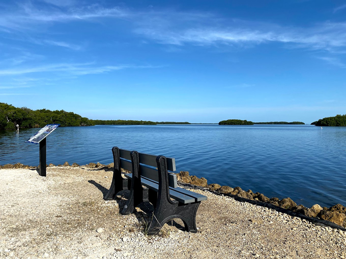 J.N. &ldquo;Ding&rdquo; Darling National Wildlife Refuge 3