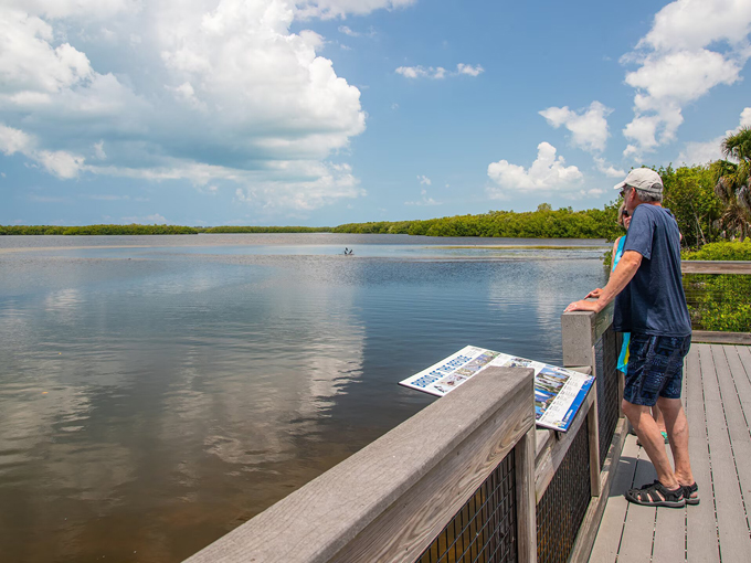 J.N. &ldquo;Ding&rdquo; Darling National Wildlife Refuge 7