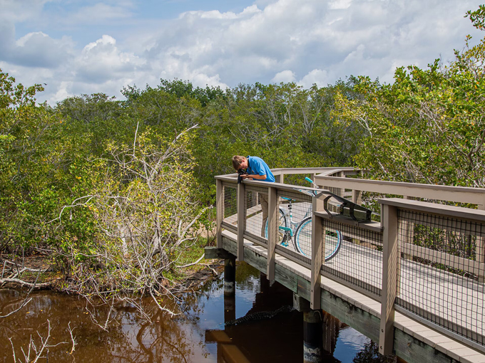 J.N. &ldquo;Ding&rdquo; Darling National Wildlife Refuge 9