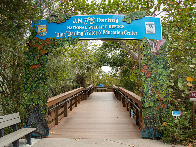 J.N. &ldquo;Ding&rdquo; Darling National Wildlife Refuge  1