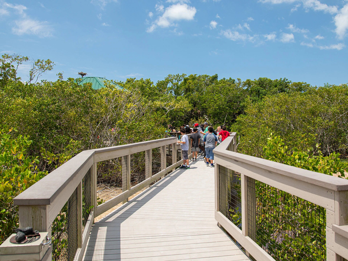 J.N. &ldquo;Ding&rdquo; Darling National Wildlife Refuge 6