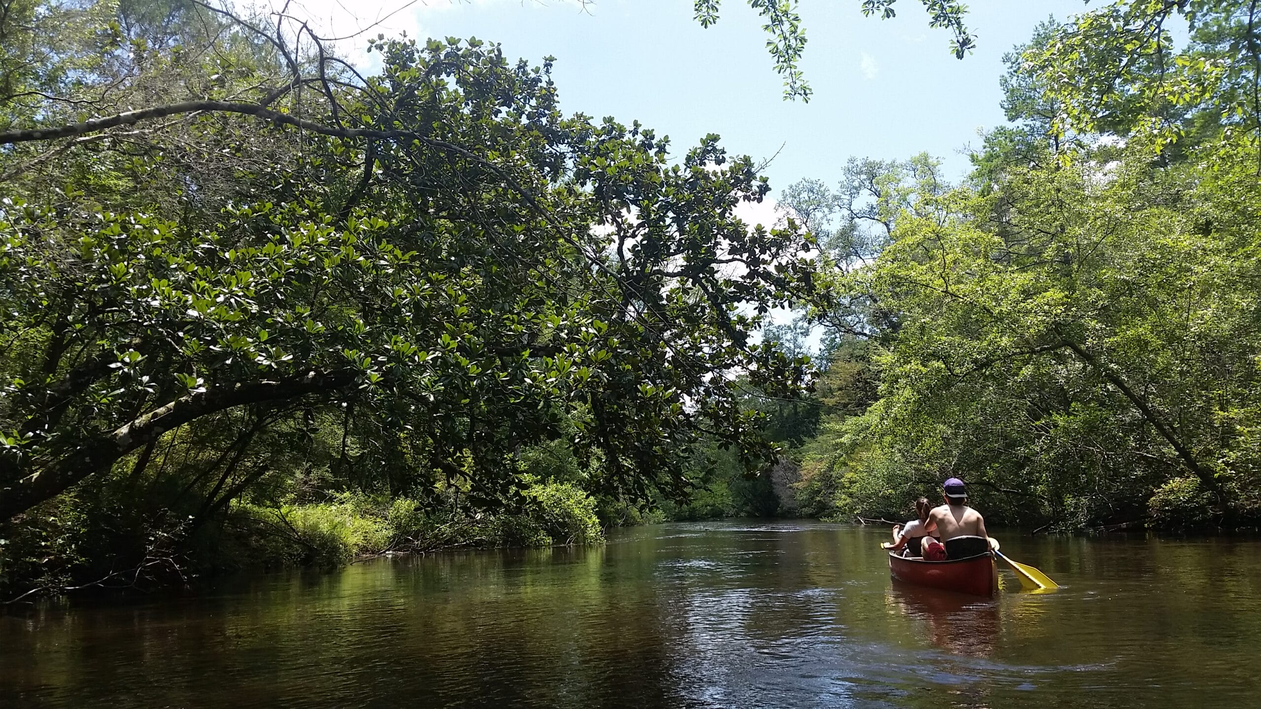 Few People Know There's A Swimming Hole Hidden Along The Econfina Creek ...