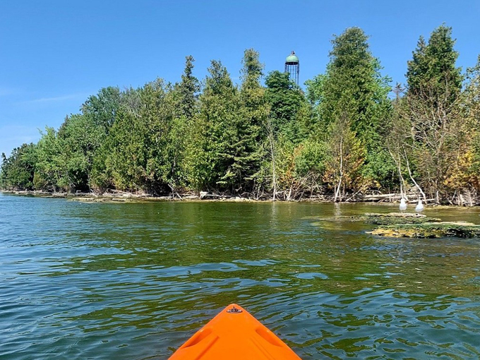 lakeshore adventures kayak tours and rentals 4