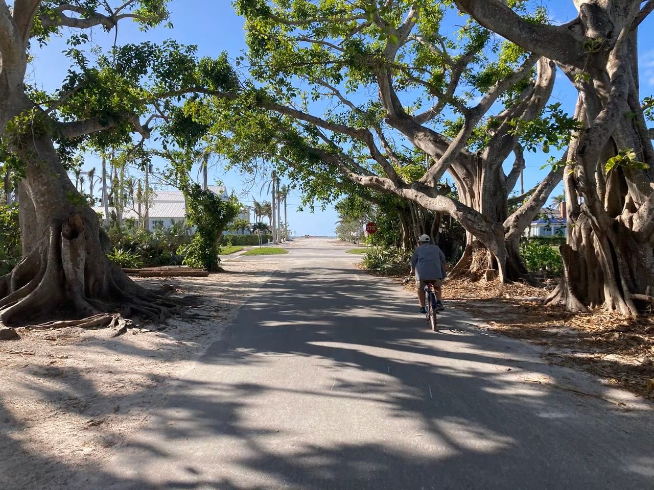 Miles stretch of smooth pavement with stunning scenery throughout