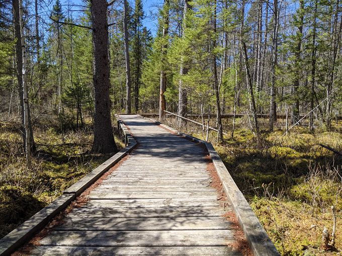 mille lacs kathio state park 5