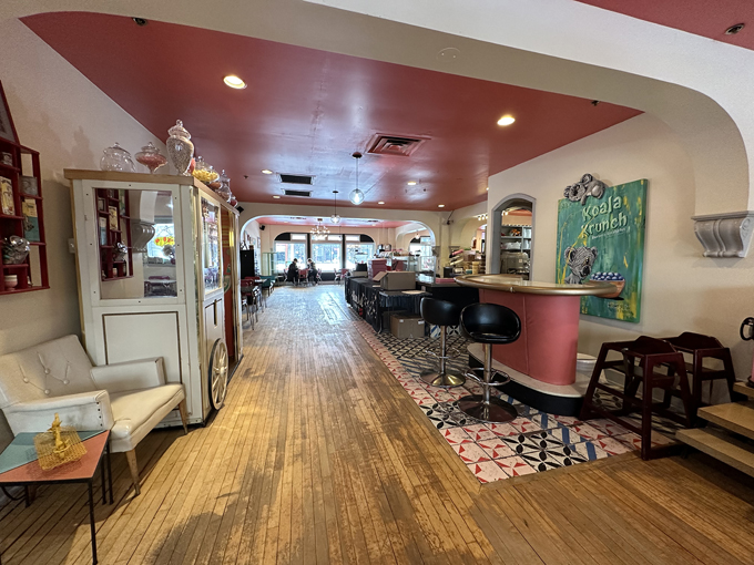 minnesota donut trail 4