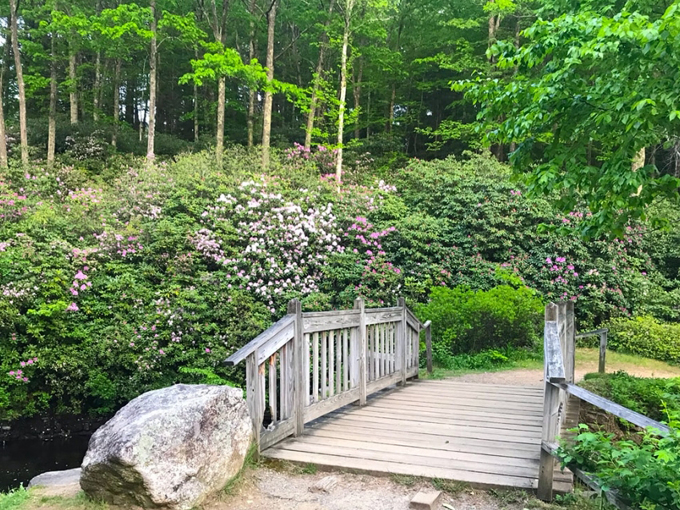 Northland Arboretum 3