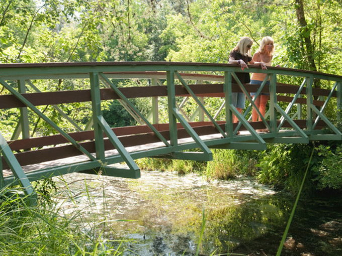 Northland Arboretum 5