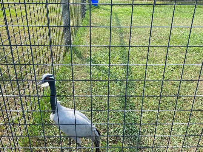 Northland Arboretum 6