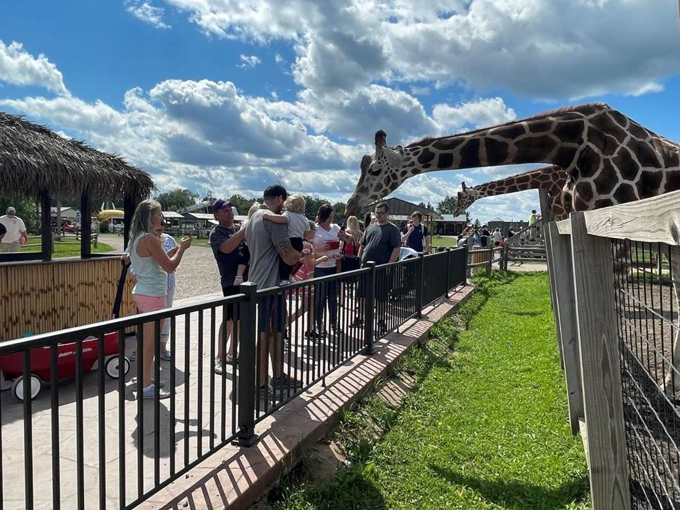 Northland Arboretum 7