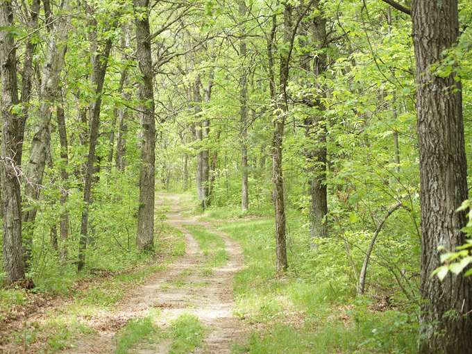 Northland Arboretum 8