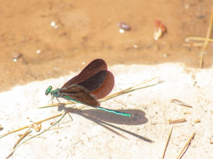 O Kun-de-kun Falls 7