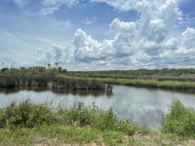 Ormond Scenic Loop & Trail 1