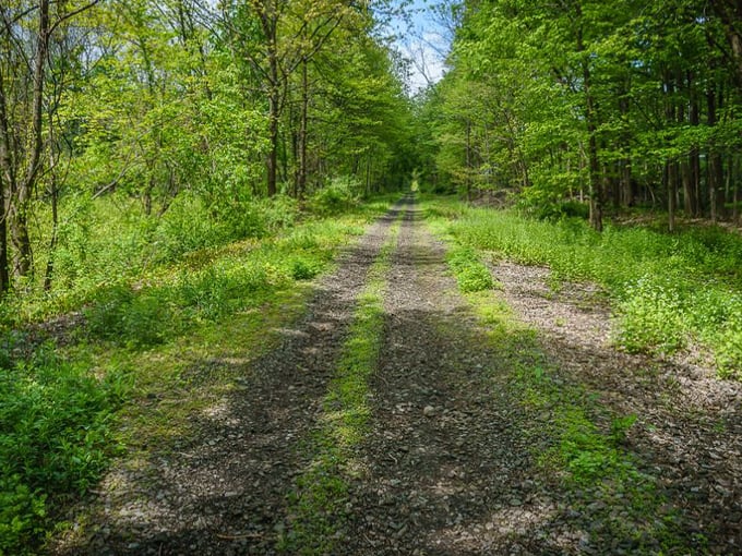 Ormond Scenic Loop & Trail 1