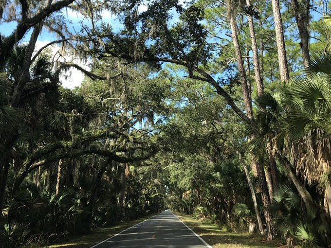 Ormond Scenic Loop & Trail 2