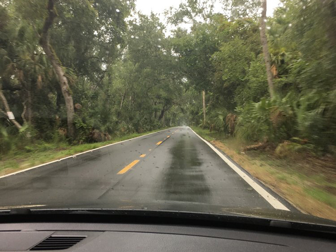 Ormond Scenic Loop & Trail 3