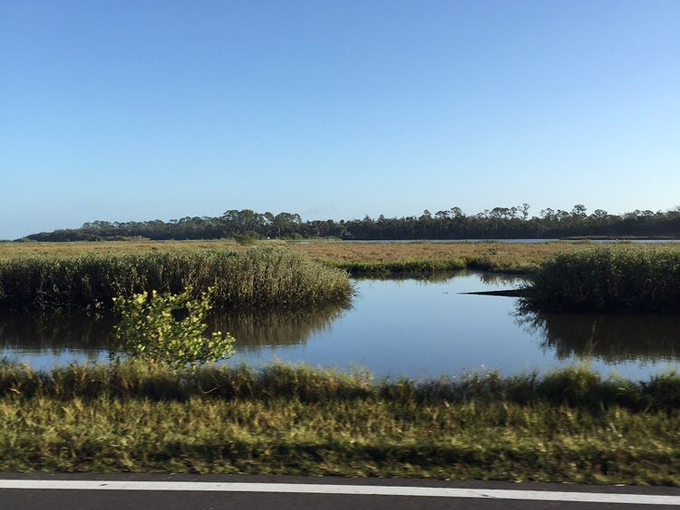 Ormond Scenic Loop & Trail 4