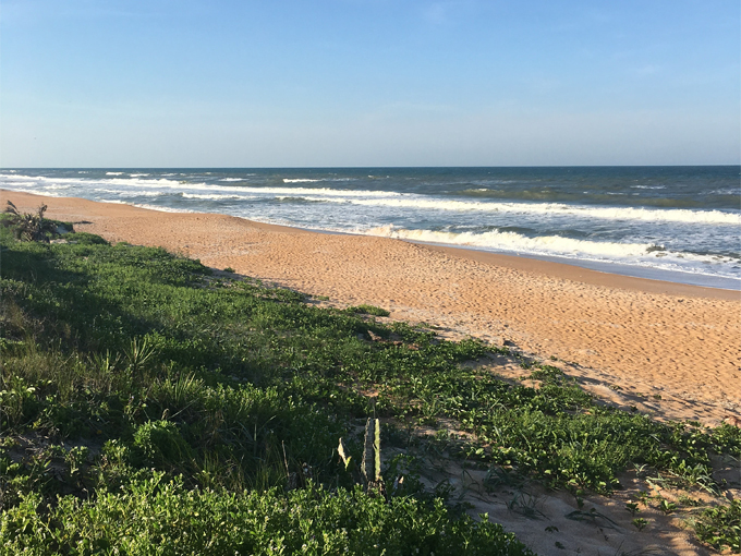Ormond Scenic Loop & Trail 5