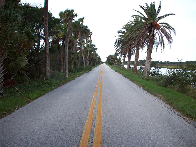 Ormond Scenic Loop & Trail 6