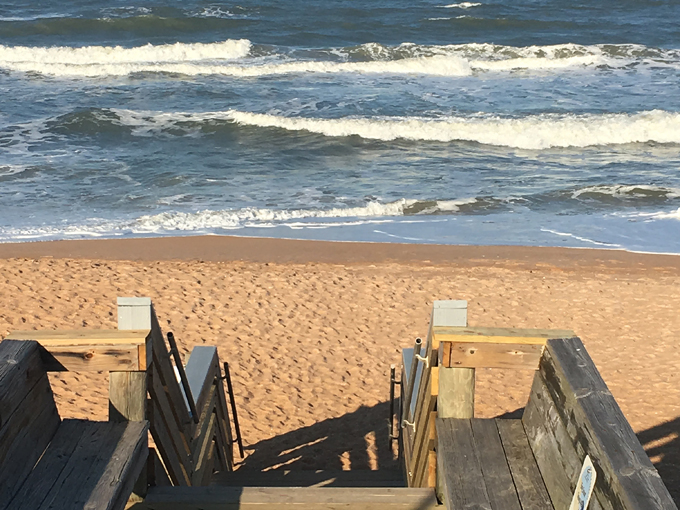 Ormond Scenic Loop & Trail 7