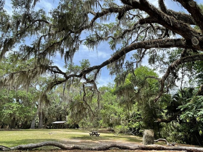 Ormond Scenic Loop & Trail 8