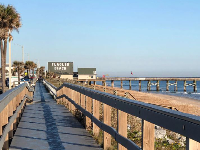 Ormond Scenic Loop & Trail 9